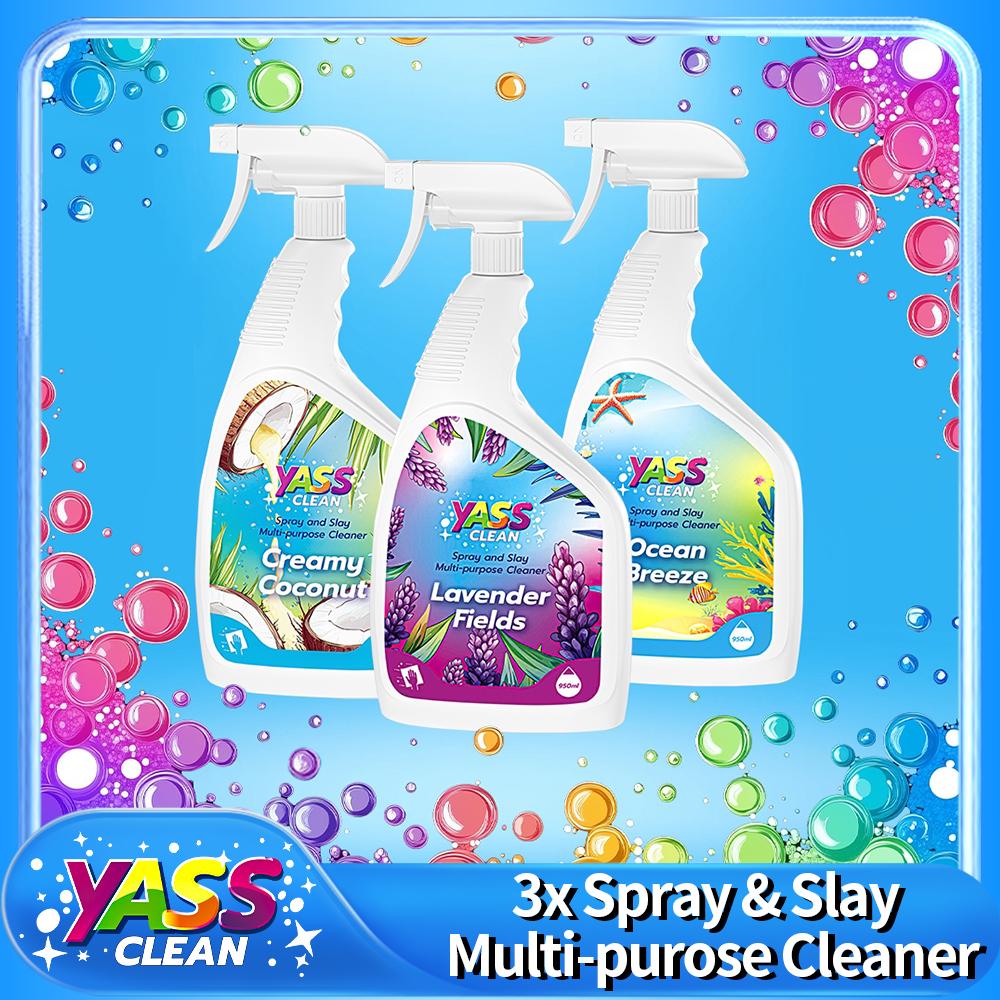 Spray and Slay Multi-Purpose Anti-Bacterial Surface Cleanser – Yass Clean